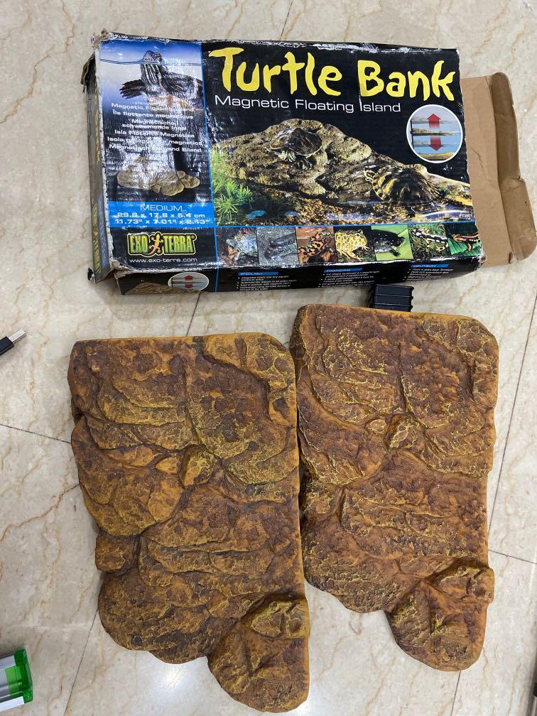 Turtle Banks, Pet Supplies, Homes & Other Pet Accessories on Carousell