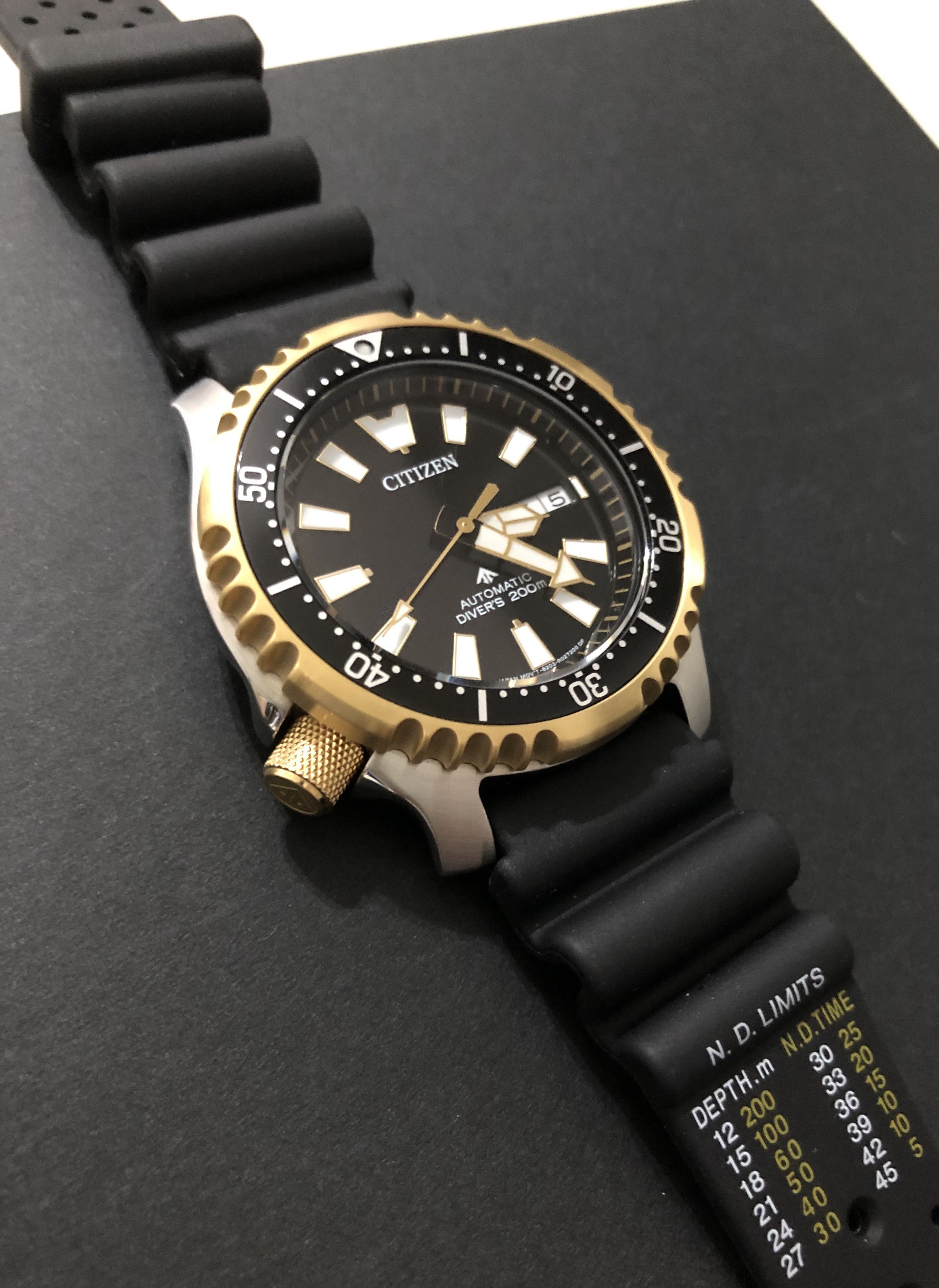Citizen Fugu Promaster Diver Dive Watch Automatic Limited Edition NOS ...