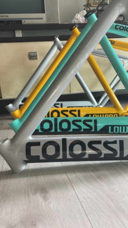 colossi lowpro fixie, Sports Equipment, Bicycles & Parts, Bicycles on ...