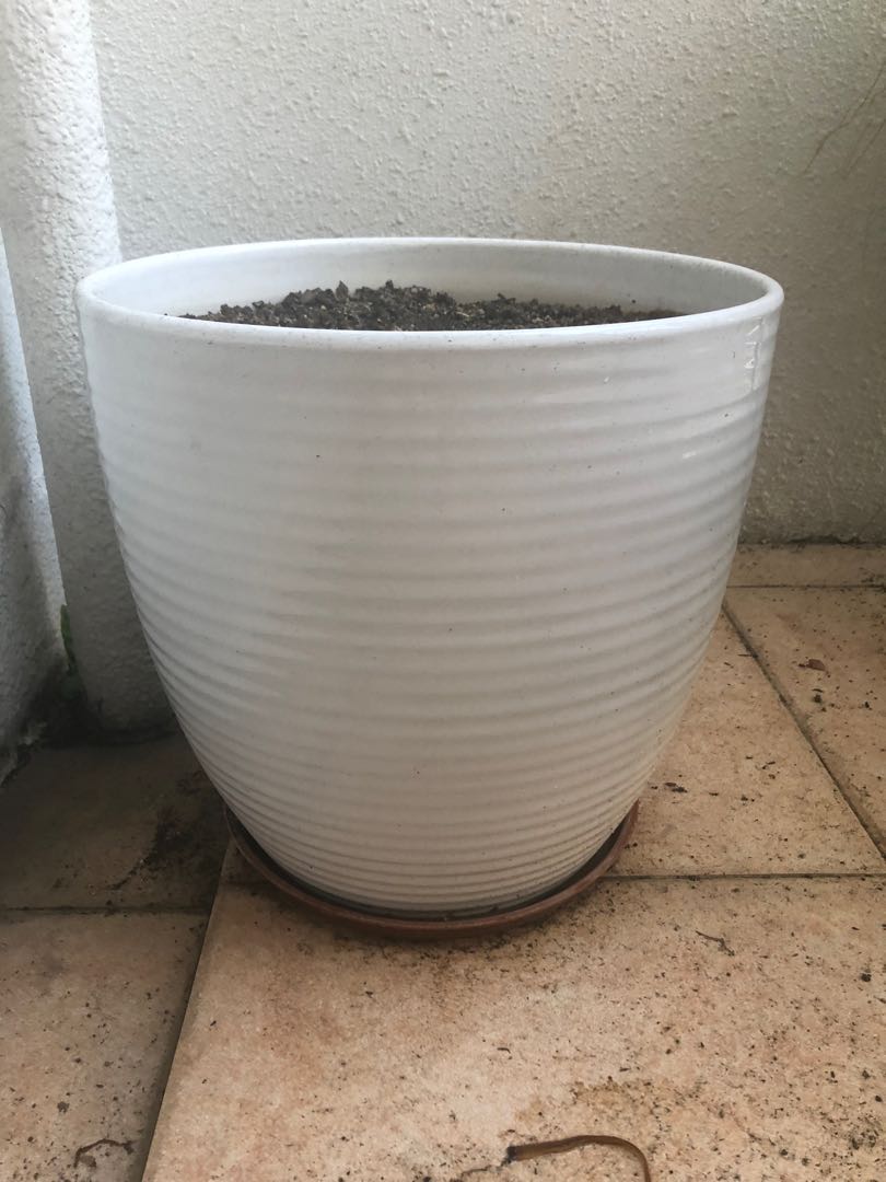 Large White Ceramic Plant Pot, Furniture & Home Living, Gardening, Pots ...