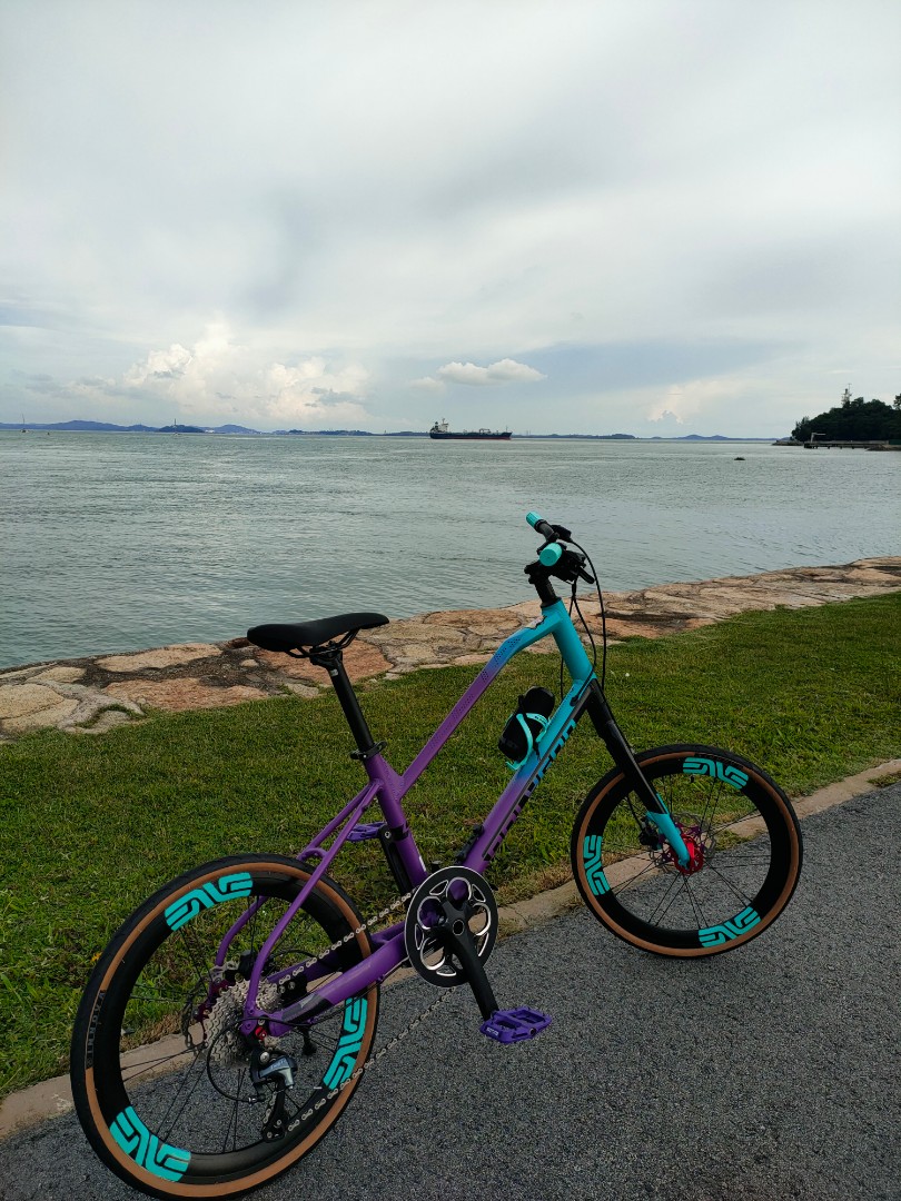 Polygon Zeta, Sports Equipment, Bicycles & Parts, Bicycles on Carousell