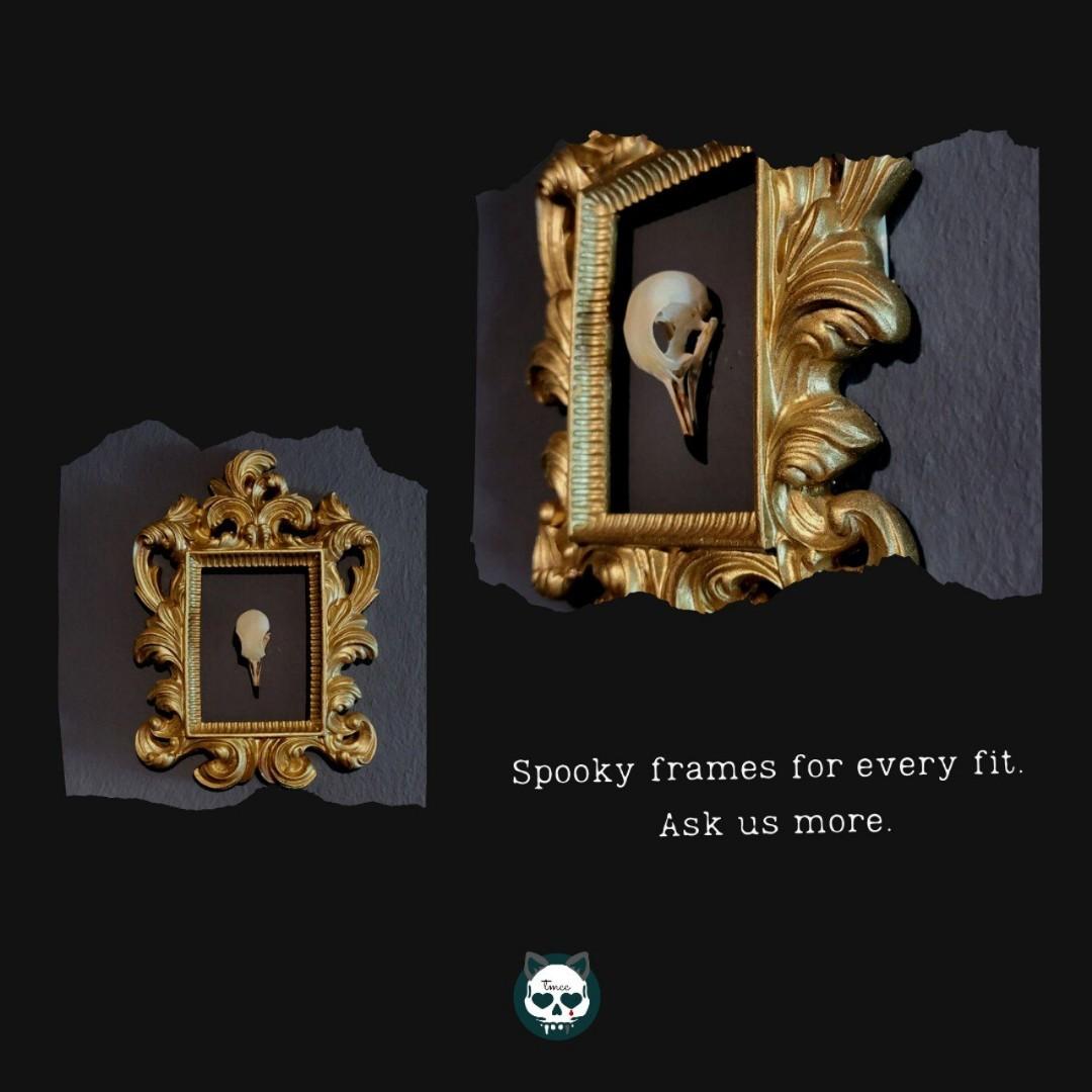 Bone taxidermy real snake in dome sale preorder rare specimen unique ...