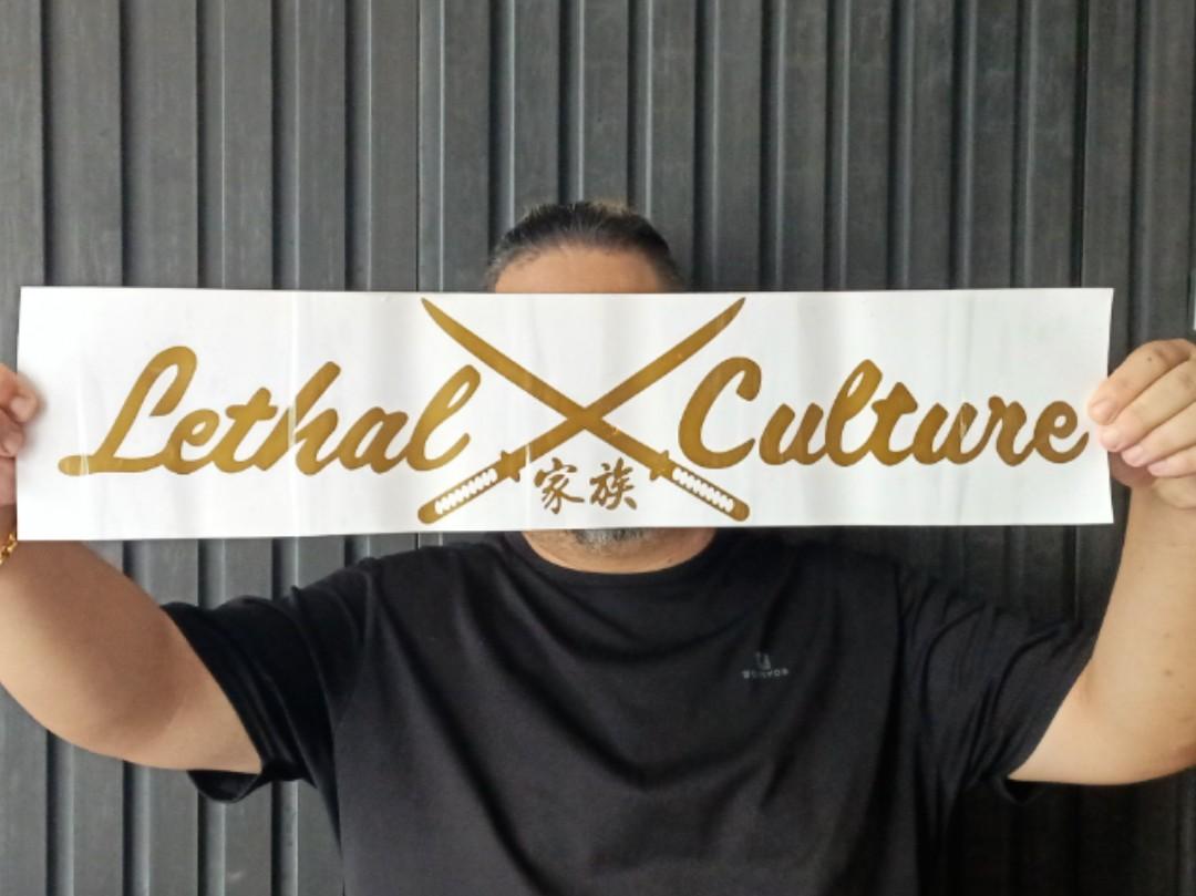 Car Sticker (57cm x 12cm) Matte Gold colour, Car Accessories ...