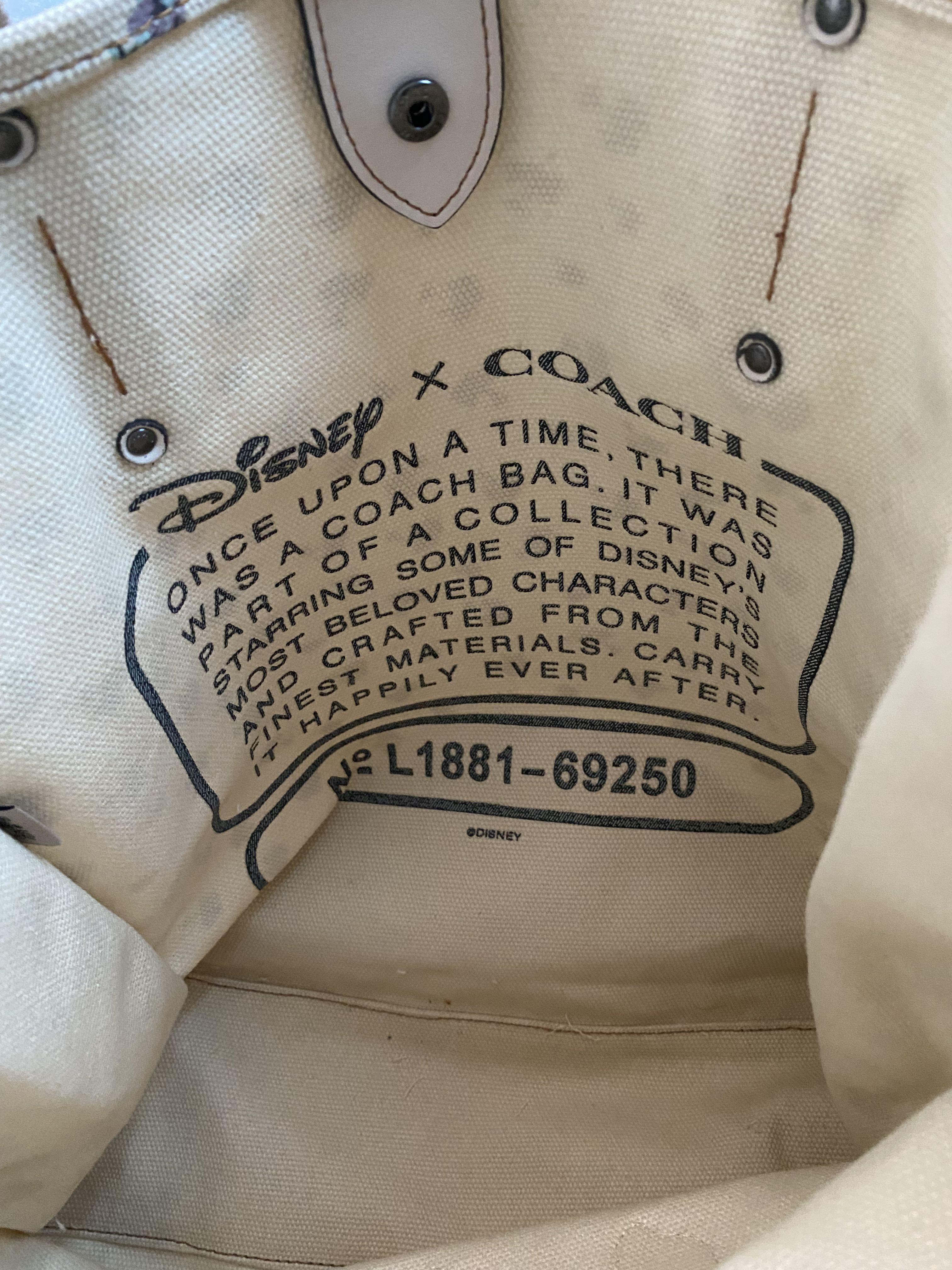 Coach x Dumbo Tote Bag, Women's Fashion, Bags & Wallets, Tote Bags on ...