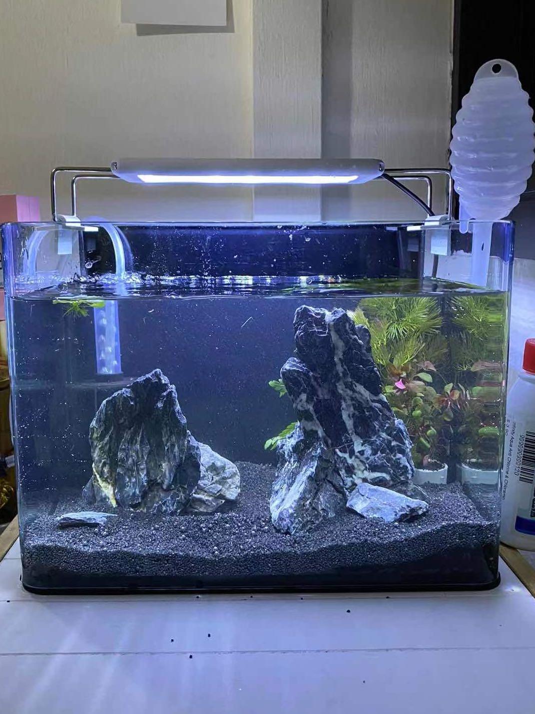 Fish Tank, Pet Supplies, Homes & Other Pet Accessories on Carousell