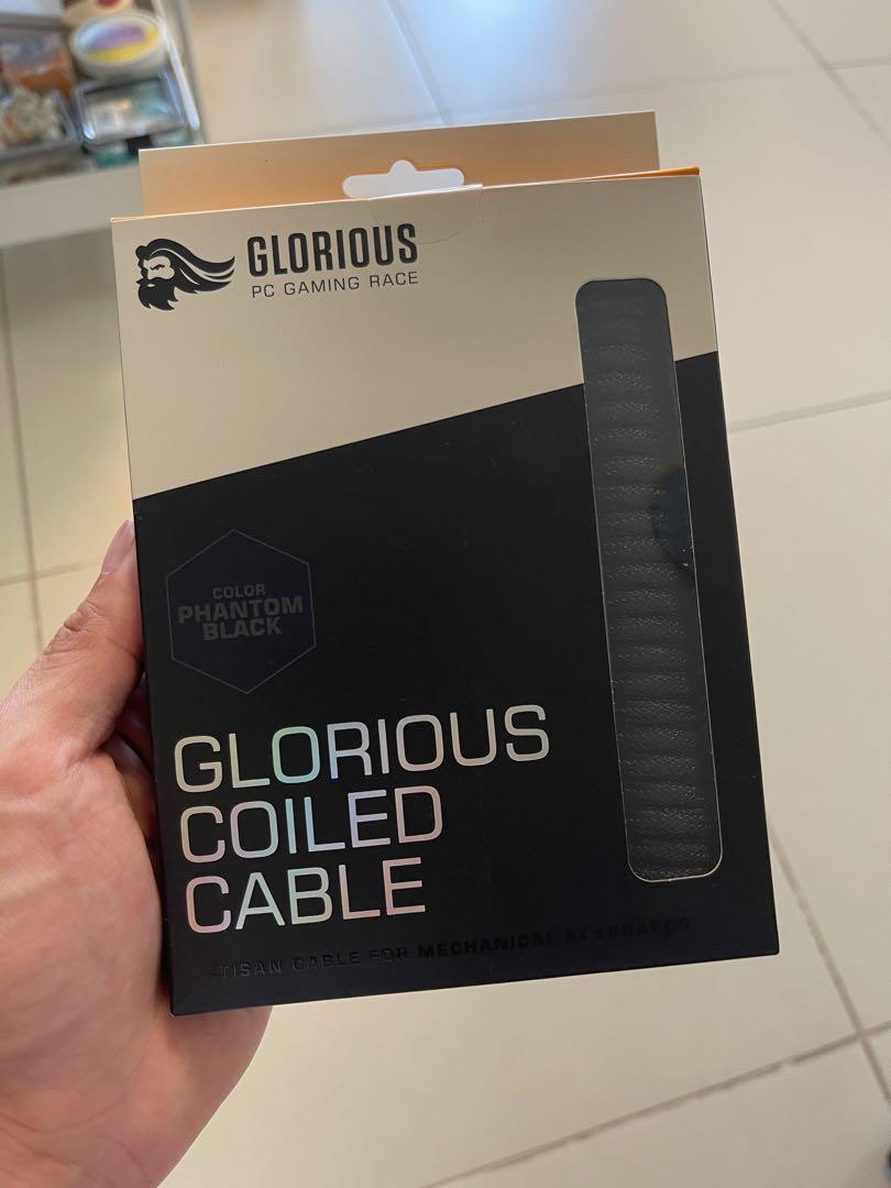 Glorious Coiled Cable for Mechanical Keyboard, Computers & Tech, Parts ...