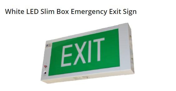 Maxspid Emergency Exit Light, Furniture & Home Living, Home Improvement ...