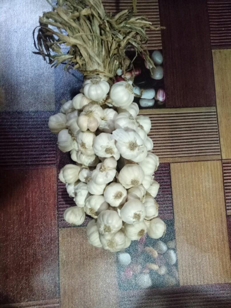Native bawang and Native Sibuyas, Food & Drinks, Fresh Produce on Carousell