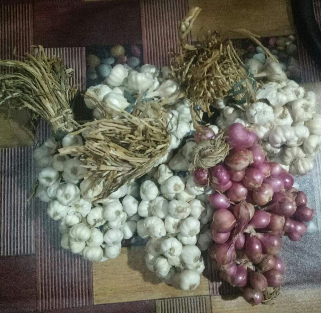 Native bawang and Native Sibuyas, Food & Drinks, Fresh Produce on Carousell