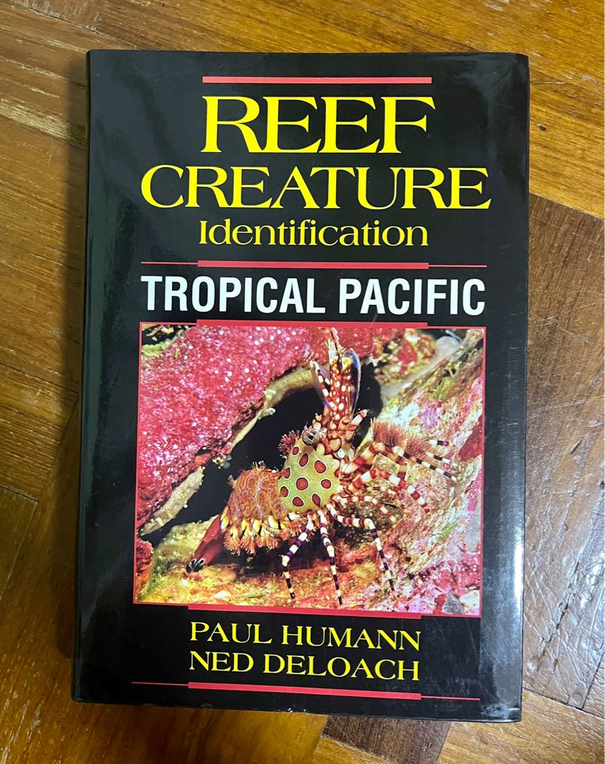 Reef Creature Identification : Tropical Pacific, Hobbies & Toys, Books ...