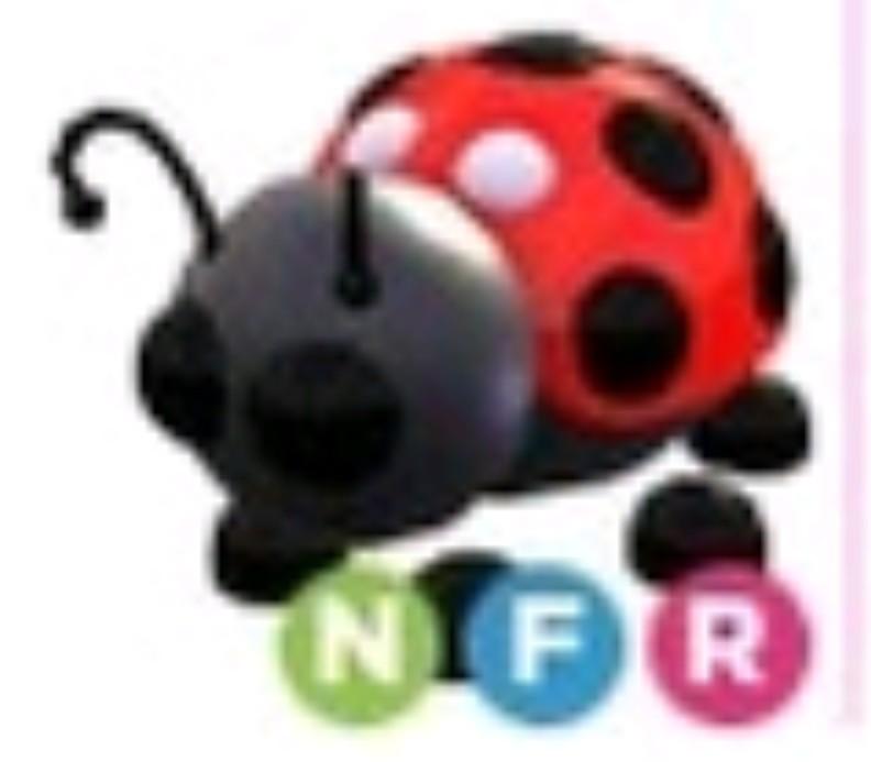 Roblox Adopt Me NFR ladybug, Video Gaming, Video Games, Others on Carousell