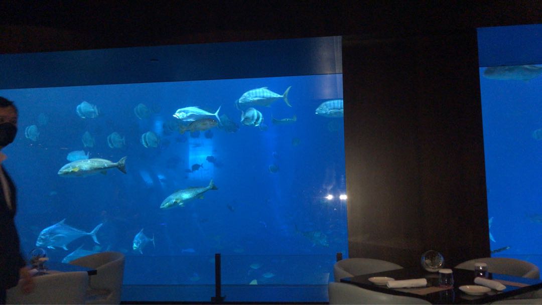 Rws Equarius Ocean Suite ( 26 Feb , Sat 2d 1n ), Everything Else on ...