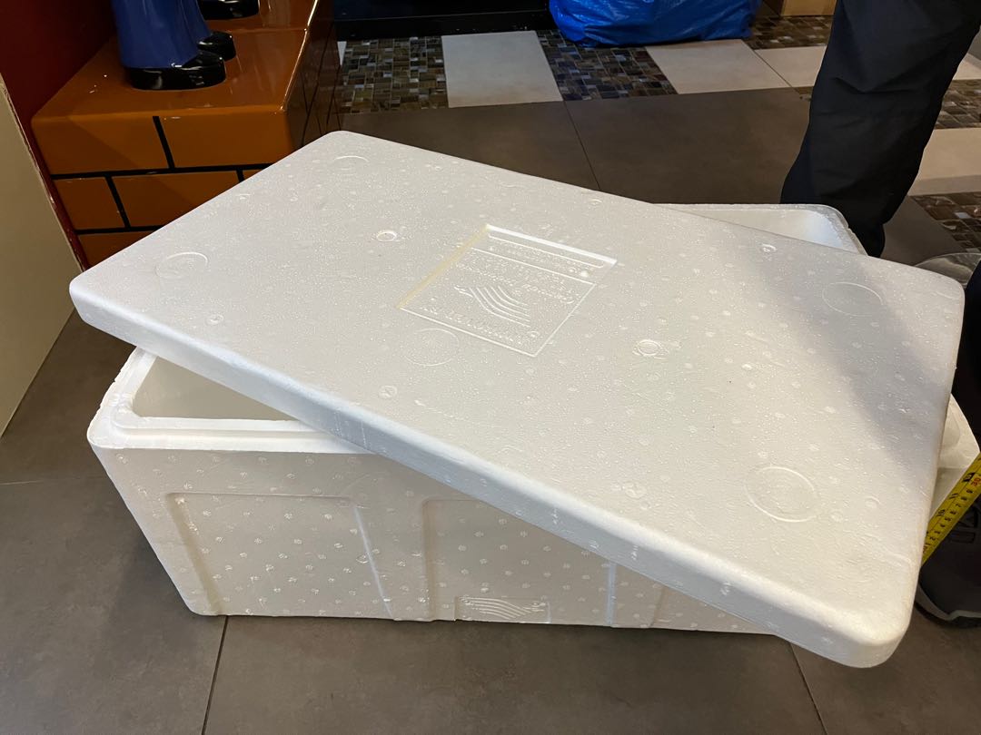 Styrofoam Cooler box, Furniture & Home Living, Furniture, Other Home ...