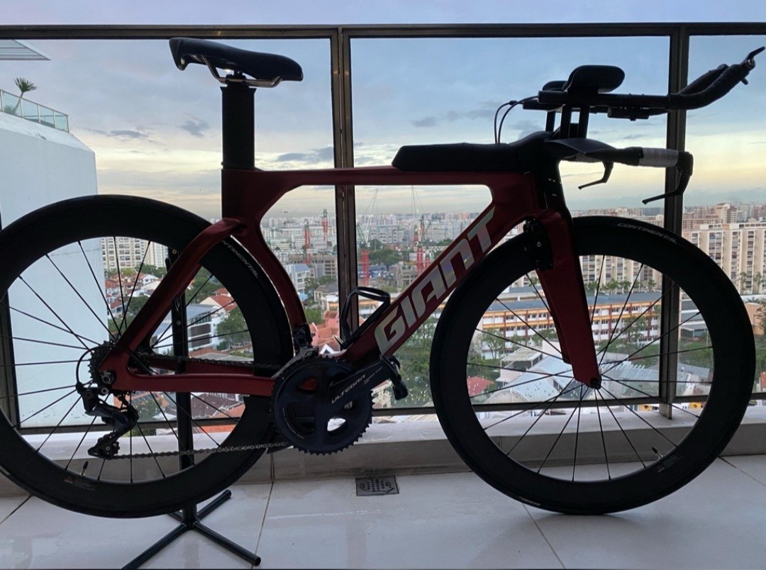 Giant Trinity Advanced Pro 2020 W/O Wheelset, Sports Equipment ...