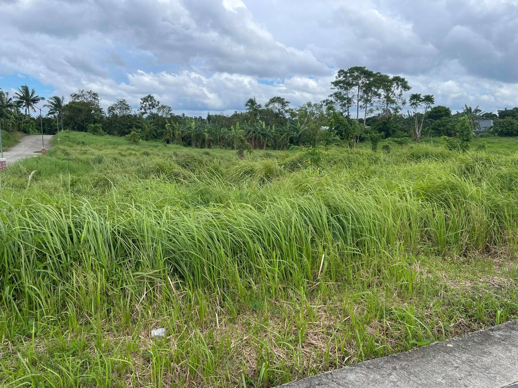 Residential farm lot in Tagaytay for sale/ Corner lot (Neg), Property ...