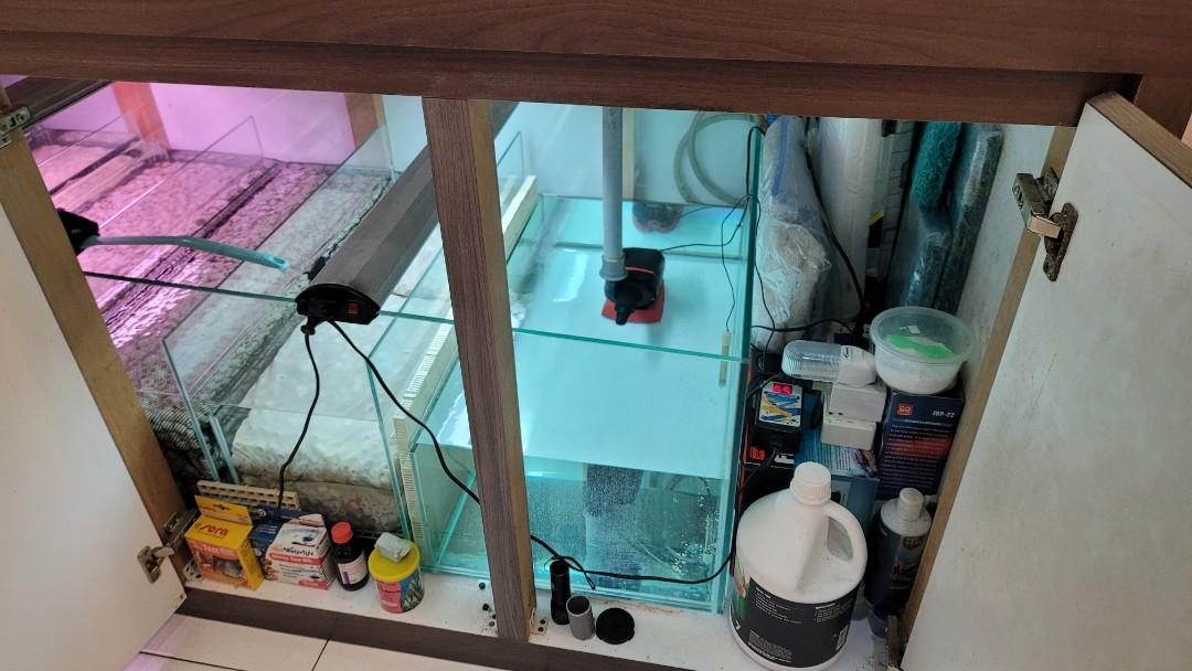 7ft (L) x 3ft (W) x 2ft (H) fish tank with sump, Pet Supplies, Homes ...