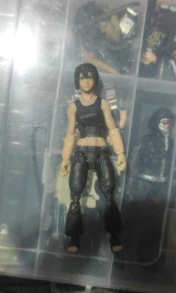 Custom 3.75 female figure, Hobbies & Toys, Toys & Games on Carousell
