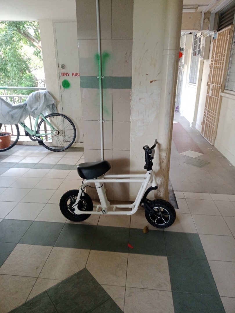 FIIDO FRAME, Sports Equipment, PMDs, E-Scooters & E-Bikes, E-Scooters ...