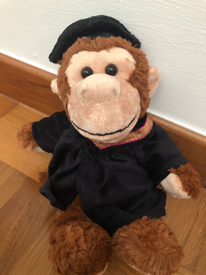Graduation Monkey, Hobbies & Toys, Toys & Games on Carousell
