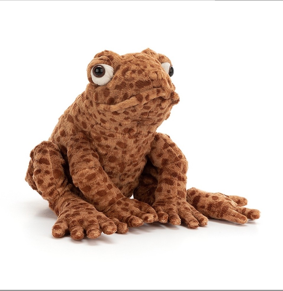 Jellycat Toby Toad, Hobbies & Toys, Toys & Games on Carousell
