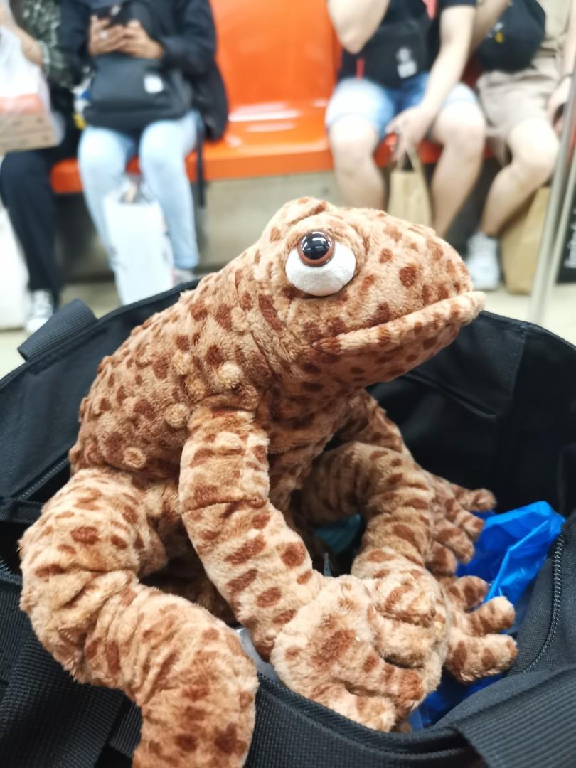 Jellycat Toby Toad, Hobbies & Toys, Toys & Games on Carousell