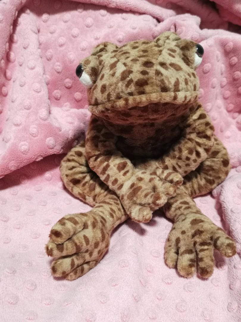 Jellycat Toby Toad, Hobbies & Toys, Toys & Games on Carousell