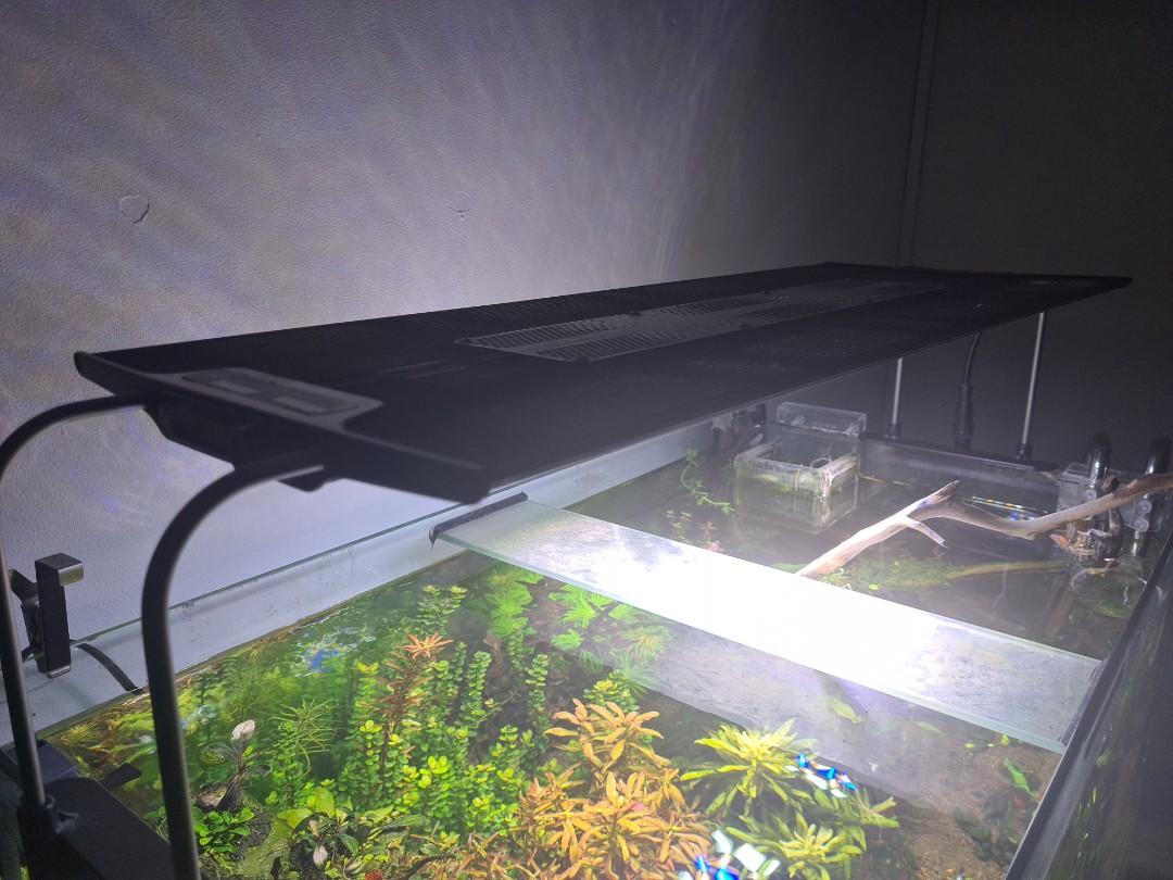 Maxspect Razor R420R 160W 8000k, Pet Supplies, Homes & Other Pet ...