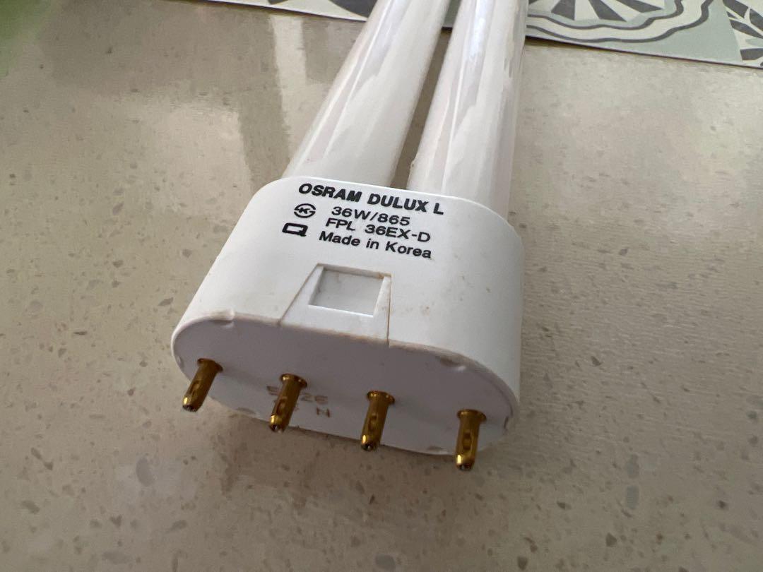 Osram 36w Dulux L Cool Daylight 2pcs, Furniture & Home Living, Lighting ...