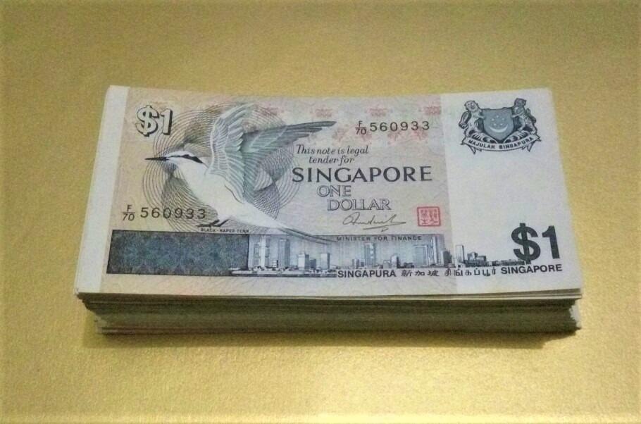 Budget Corner Lot 7: Bird and Ship Series Assorted, Hobbies & Toys ...