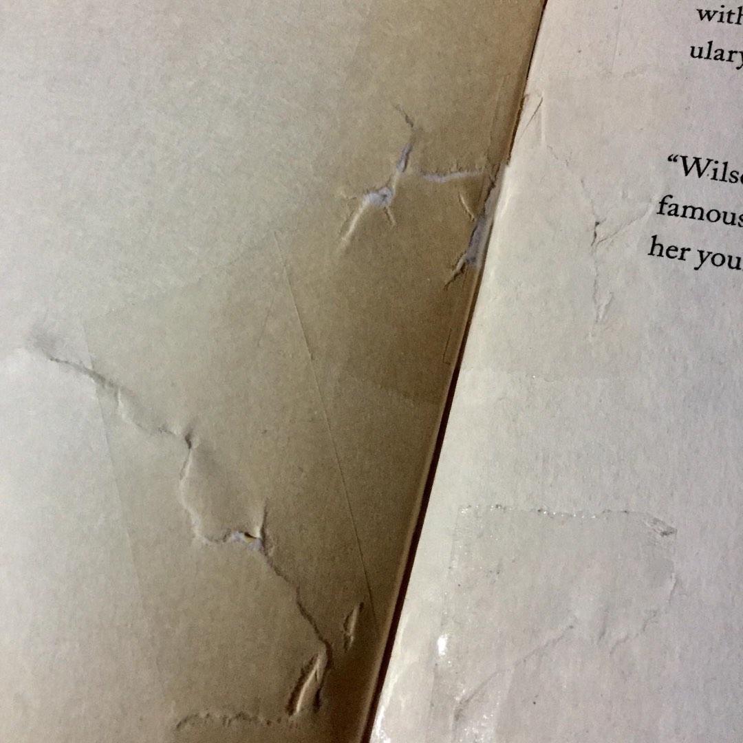 Before Green Gables by Budge Wilson (The Prequel To Anne of Green ...