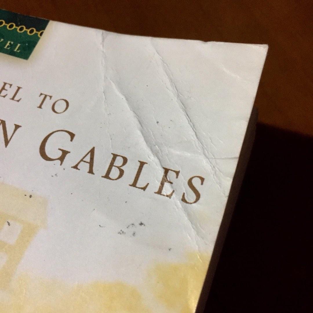 Before Green Gables by Budge Wilson (The Prequel To Anne of Green ...
