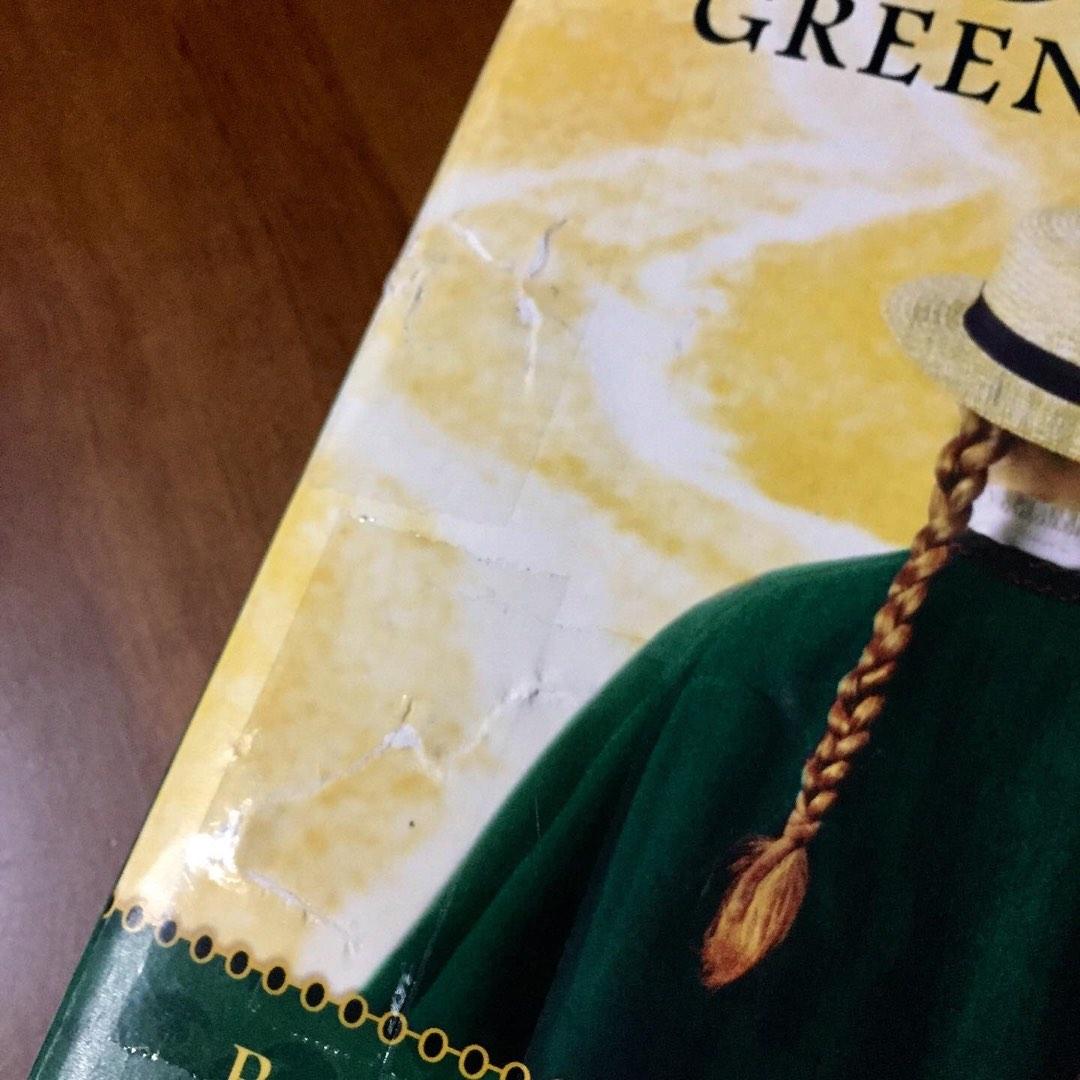 Before Green Gables by Budge Wilson (The Prequel To Anne of Green ...