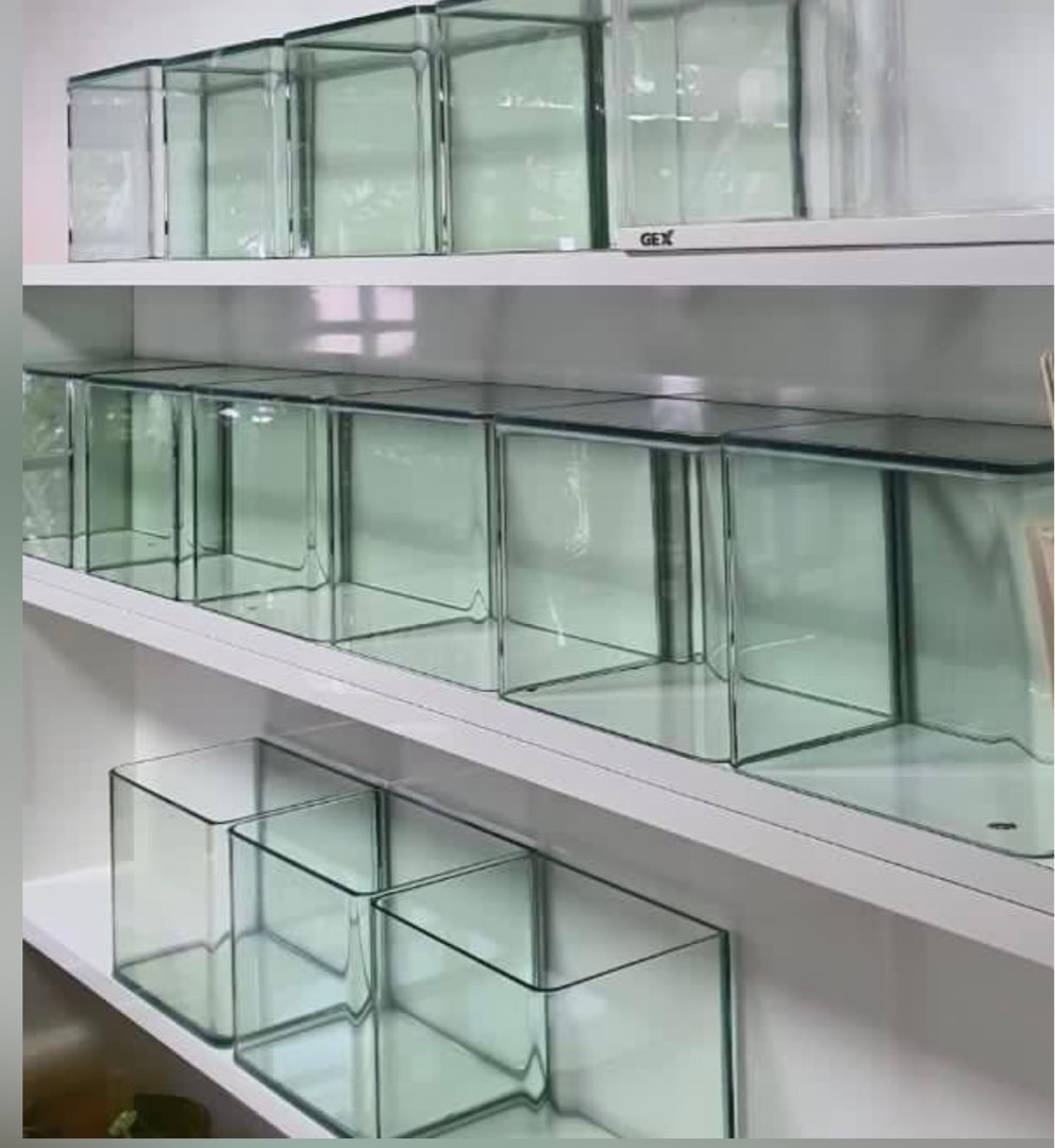 Betta fish tank curve set left, Pet Supplies, Homes & Other Pet ...