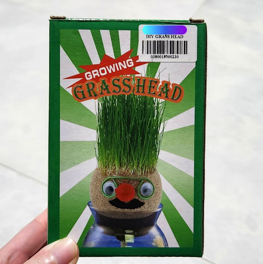 DIY Growing Grass Head (Great Educational Kids Activities, Desk Plant ...