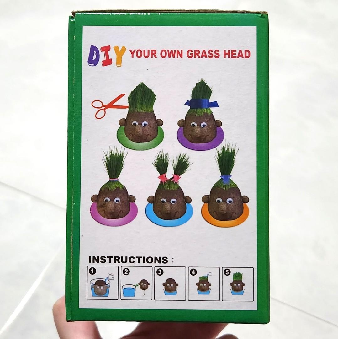 DIY Growing Grass Head (Great Educational Kids Activities, Desk Plant ...