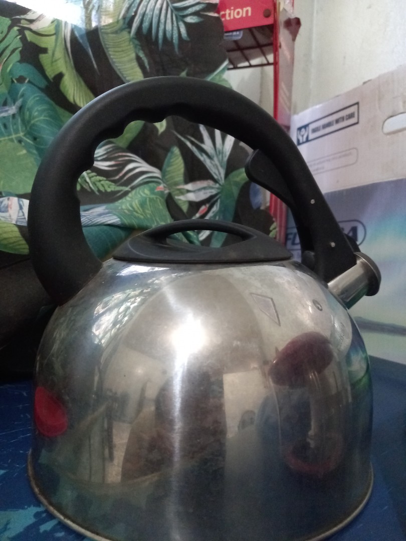 Omega stainless steel Whistling kettle, TV & Home Appliances, Kitchen ...
