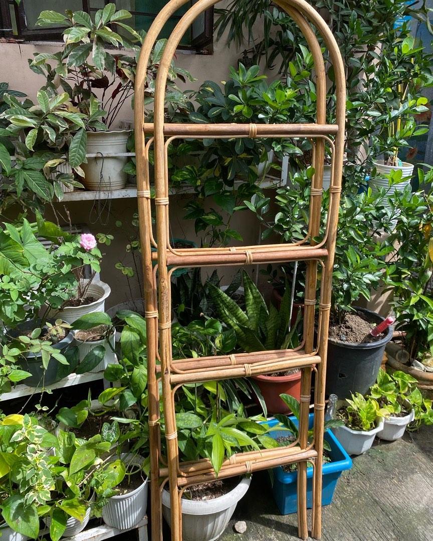 RATTAN LADDER/DECORATIVE RATTAN LADDER/ARC RATTAN LADDER, Furniture ...