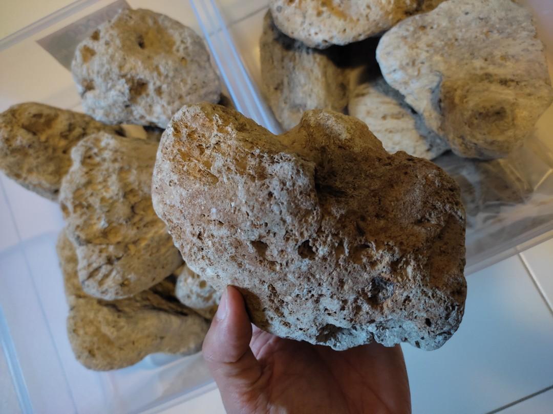 scaping pumice rocks terrarium vivarium moss bucep paludarium ...