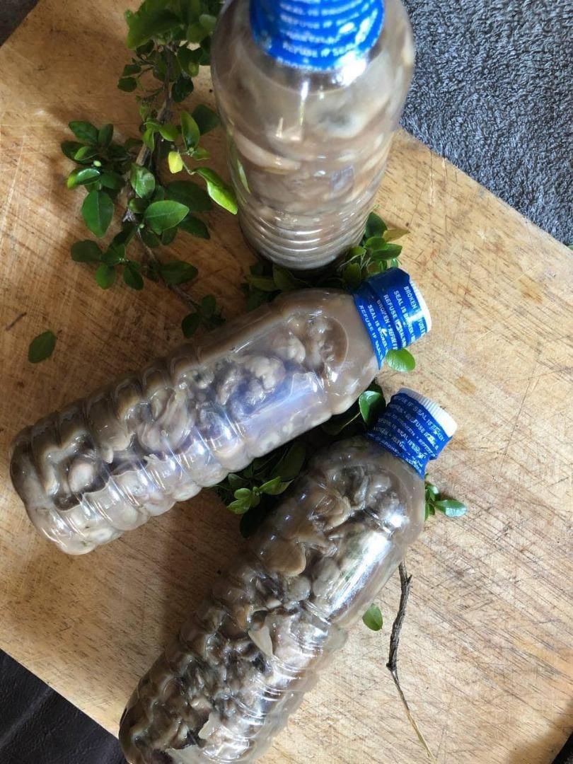 Talaba Sisi, Food & Drinks, Other Food & Drinks on Carousell