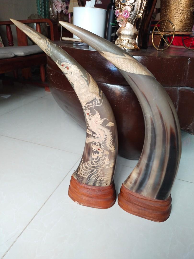 Vintage Hand Carved Water Buffalo Horn of a Dragon and Phoenix on a ...