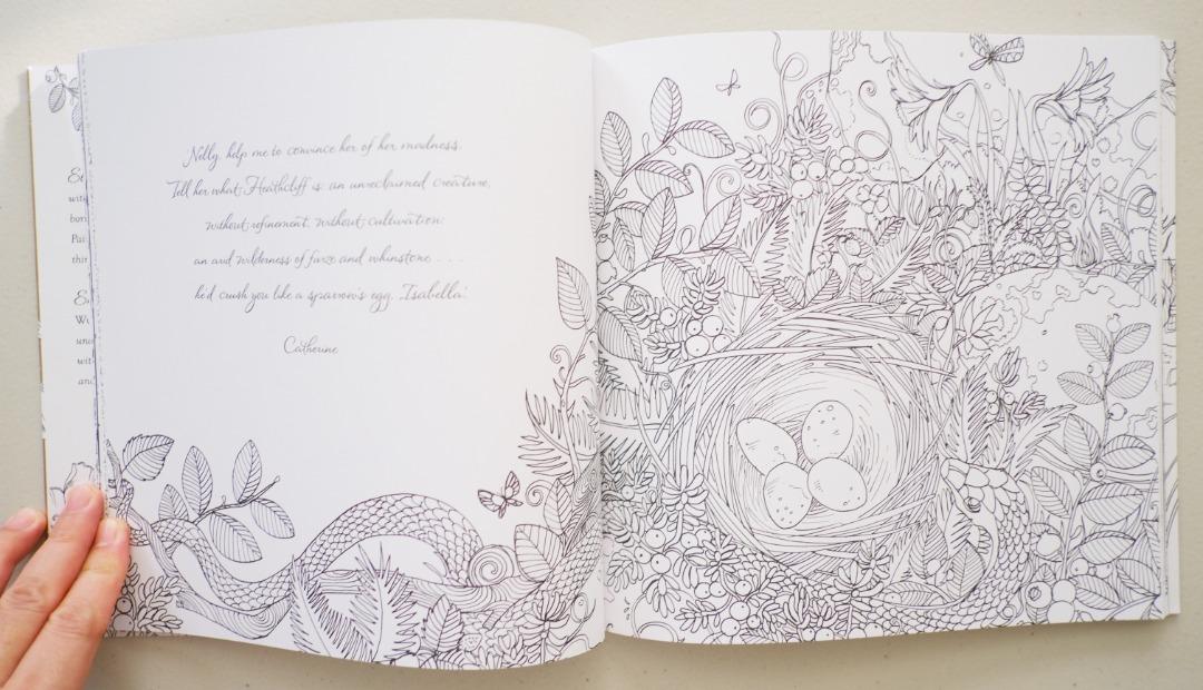 Wuthering Heights Coloring Book, Hobbies & Toys, Books & Magazines ...