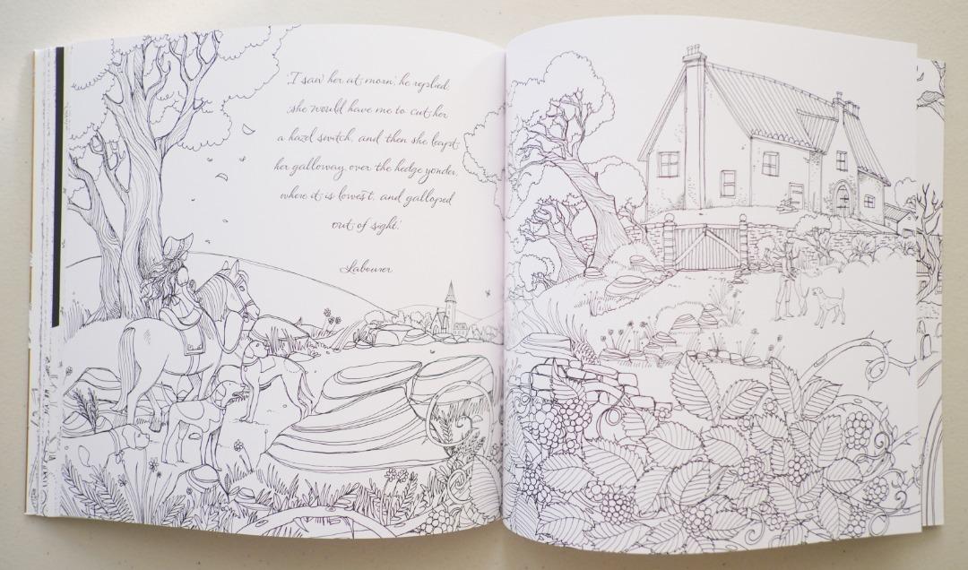 Wuthering Heights Coloring Book, Hobbies & Toys, Books & Magazines ...