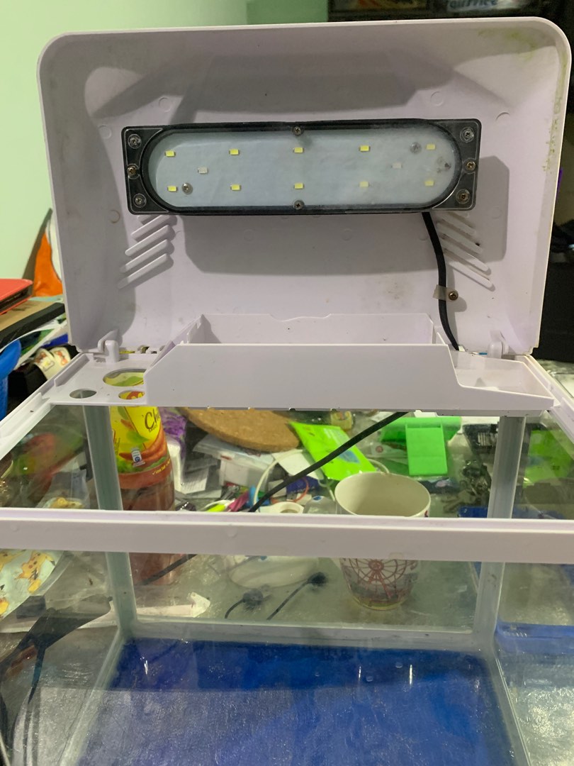 1 feet fish tank with light, Pet Supplies, Homes & Other Pet ...