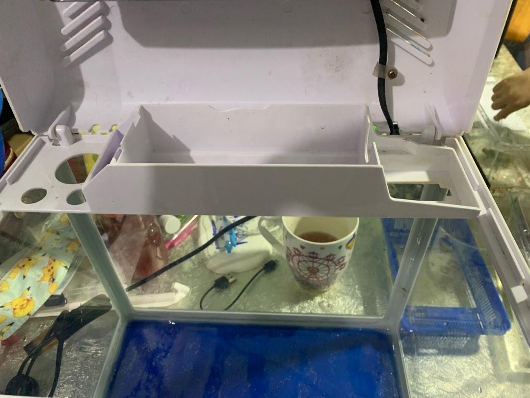 1 feet fish tank with light, Pet Supplies, Homes & Other Pet ...