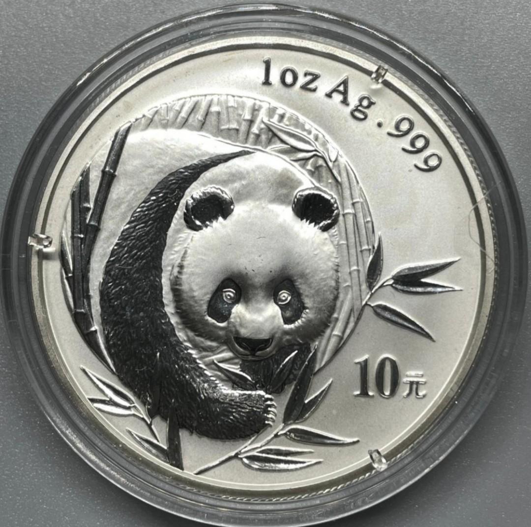 2003 China Matt bamboo panda 1oz silver coin, Hobbies & Toys ...