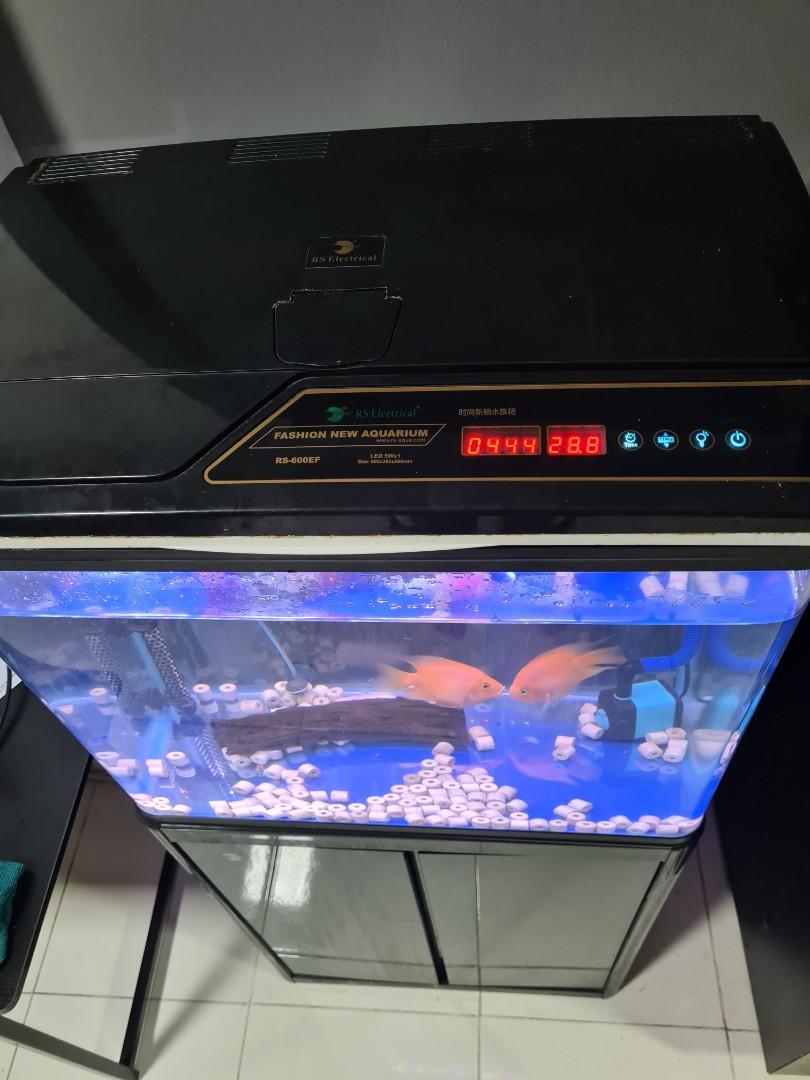 2ft fish tank with cabinet, Pet Supplies, Homes & Other Pet Accessories ...
