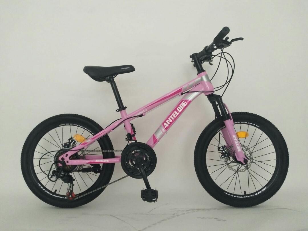 ANTELOPE MINI MTB, Sports Equipment, Bicycles & Parts, Bicycles on ...