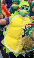 Costume Durian, Hobbies & Toys, Stationery & Craft, Handmade Craft on ...