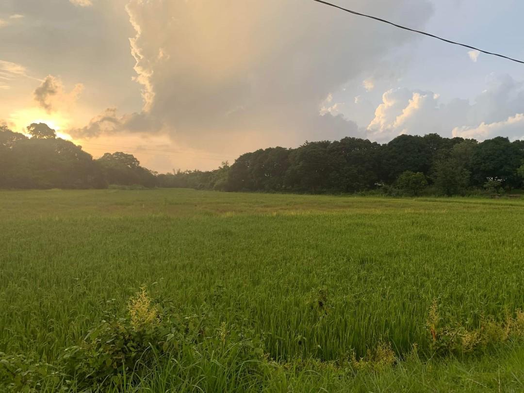 Farm land, Property, For Sale, Lot on Carousell