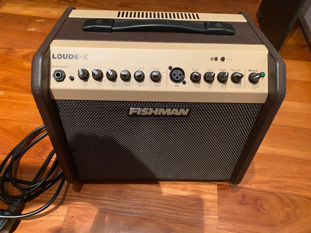 Fishman Loudbox Mini Acoustic Guitar Amplifier, Hobbies & Toys, Music ...